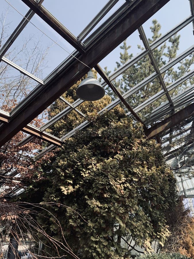 Inside the Complex of the Botanical Garden. Stock Photo - Image of ...