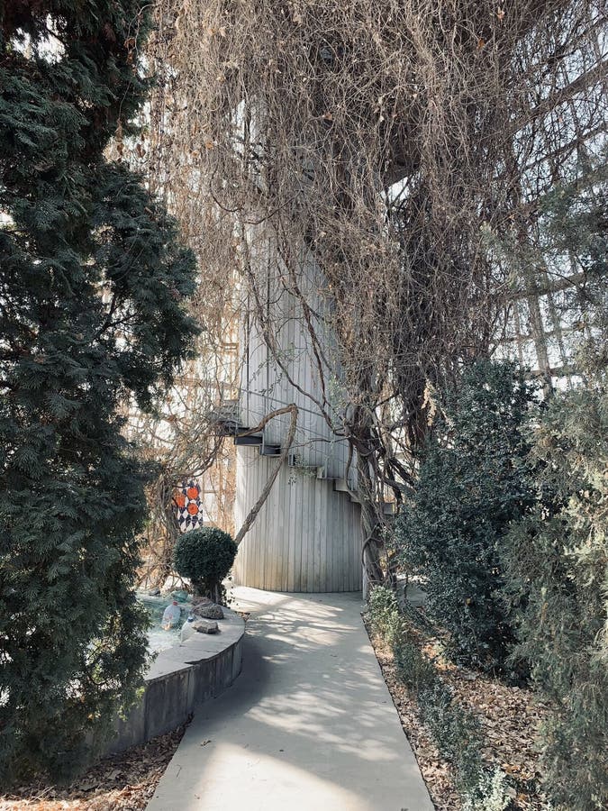 Inside the Complex of the Botanical Garden. Stock Image - Image of ...