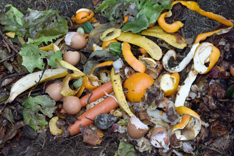 Inside of a Composting Container Stock Photo - Image of environment ...