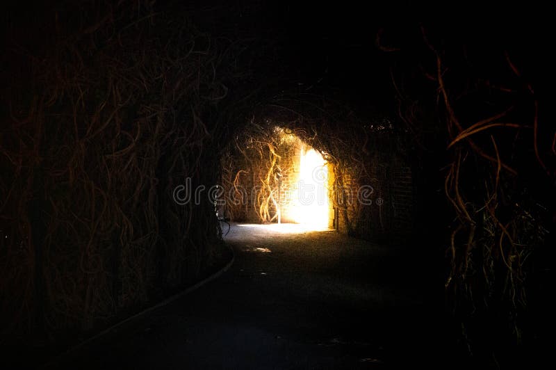 Inside of a dark cave stock image. Image of nature, cave - 237544041