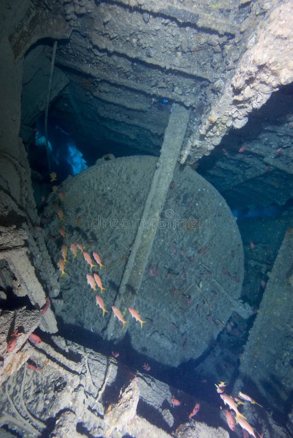 Inside the dunraven stock image. Image of tropical, wide - 12449217