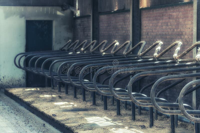 Inside of Empty Dairy Barn stock photo. Image of light - 118676356