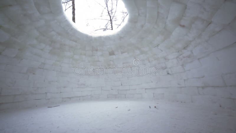 Inside Empty House of Ice, Eskimo Igloo, Trees Stock Footage - Video of ...