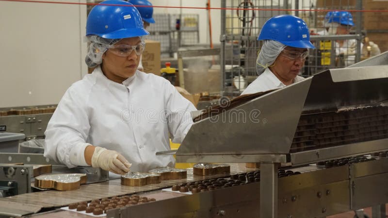 Inside Chocolate Factory