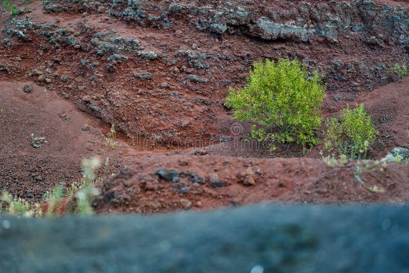 Inside an extinct volcano stock image. Image of crater - 198919599