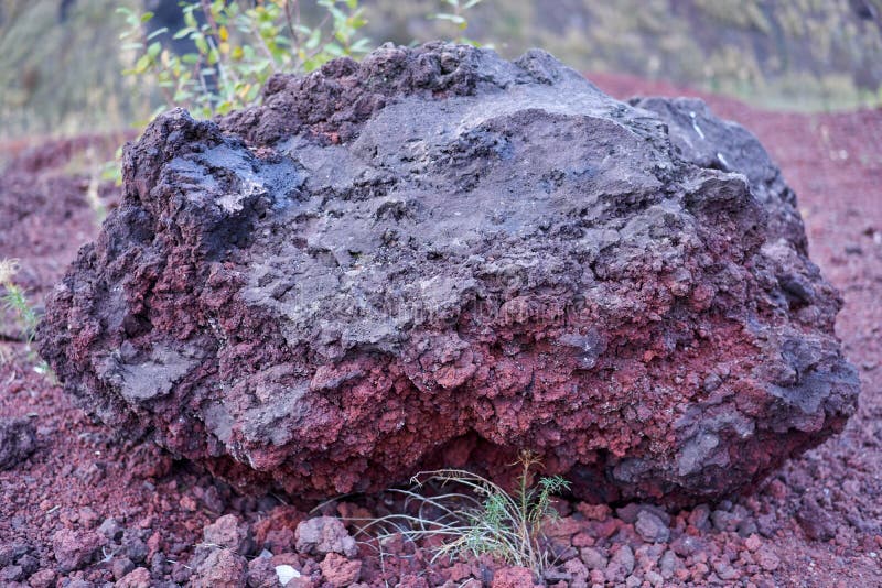 Inside an extinct volcano stock image. Image of nature - 198919647