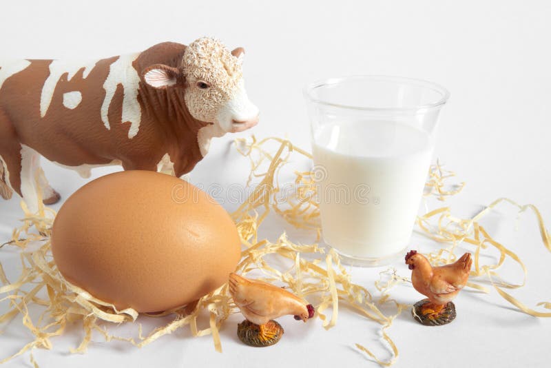 Inside the farm stock photo. Image of farm, healty, agricultural - 78204790