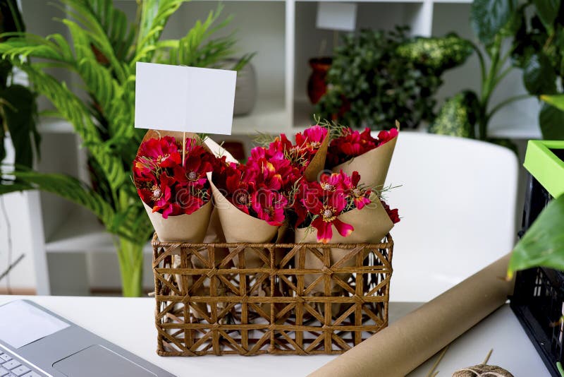 Inside a florist shop stock photo. Image of floristry - 97479350