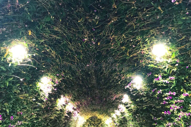 Inside the Flower Archway at a Flower Festival Stock Photo - Image of ...