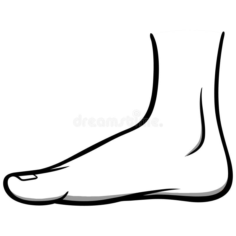 Inside Foot Illustration stock vector. Illustration of human - 84879289