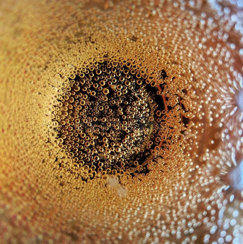Inside a Glass Full of Appy Fizz Stock Image - Image of full, glass ...