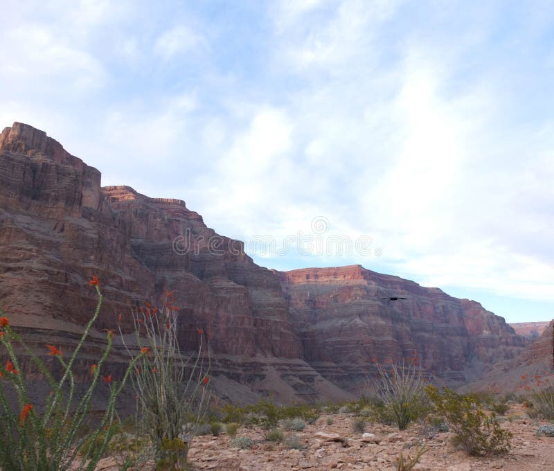 Inside the Grand Canyon stock image. Image of canyon - 66522689