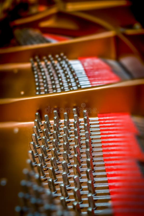 Inside a grand piano stock photo. Image of grand, stringed - 53705706