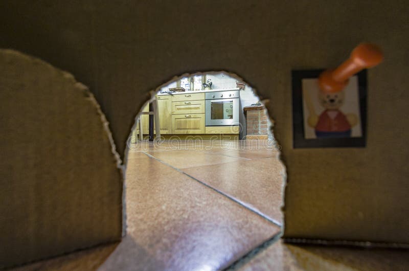 Inside the Hole Mouse at Home Stock Image - Image of enter, fantasy ...