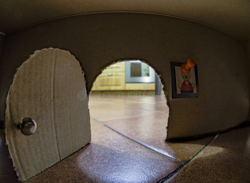 174 Hole Mouse Wall Stock Photos - Free & Royalty-Free Stock Photos ...