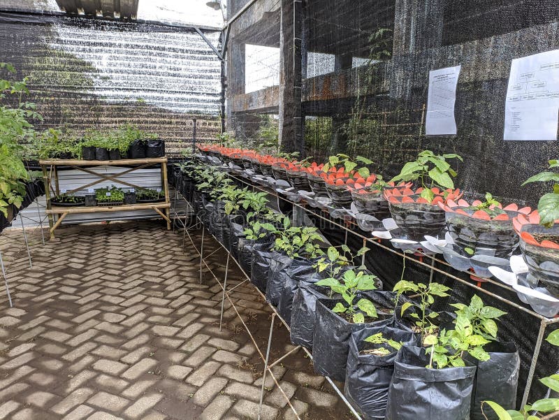 Flower Temporal Ui Stock Photos - Free & Royalty-Free Stock Photos from ...