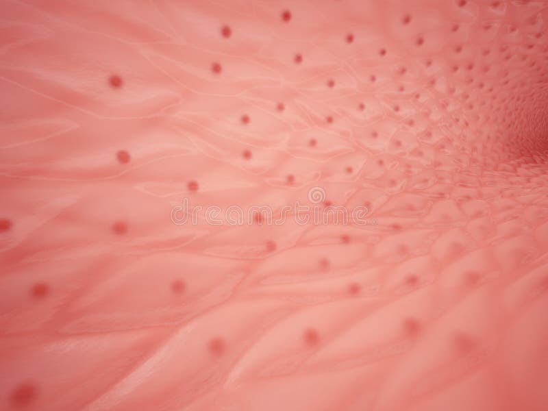 Vessel Stock Images - Download 373,055 Royalty Free Photos