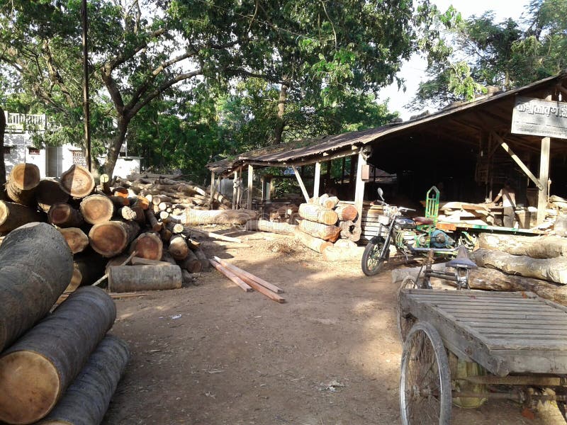 Inside of a Indian Village Saw Mill Stock Photo - Image of tree, indian ...