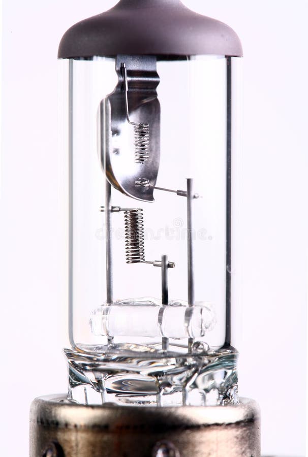 Bulb Picture. Image: 1259590