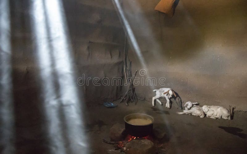 Baby Goats Inside Maasai Kitchen Stock Photo - Image of goats, maasai ...