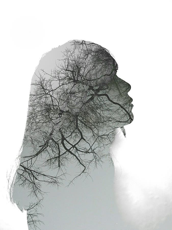 Inside mind stock photo. Image of isolated, background - 77206172