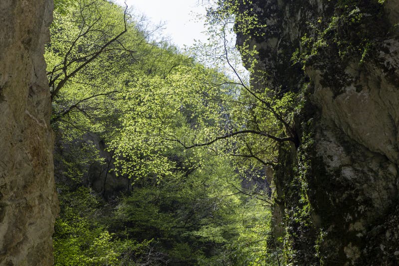 Inside mountain gorges stock image. Image of travel - 152499111