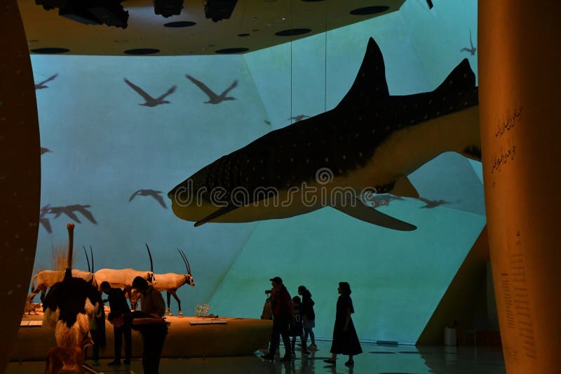 Inside the National Museum of Qatar in Doha, Qatar Editorial Photo ...