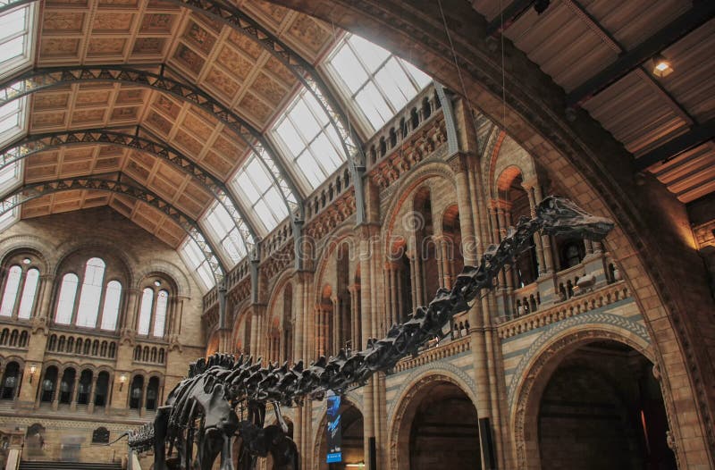 Inside the Natural History Museum in London Editorial Stock Photo ...