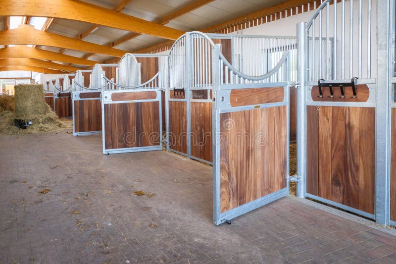 Inside a Newly Built Horse Stable Stock Photo - Image of mane, animal ...