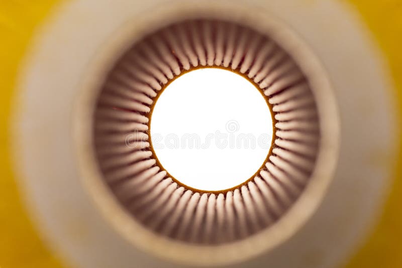 From Inside the Oil Filter of a Car Engine, Photography with Depth of ...