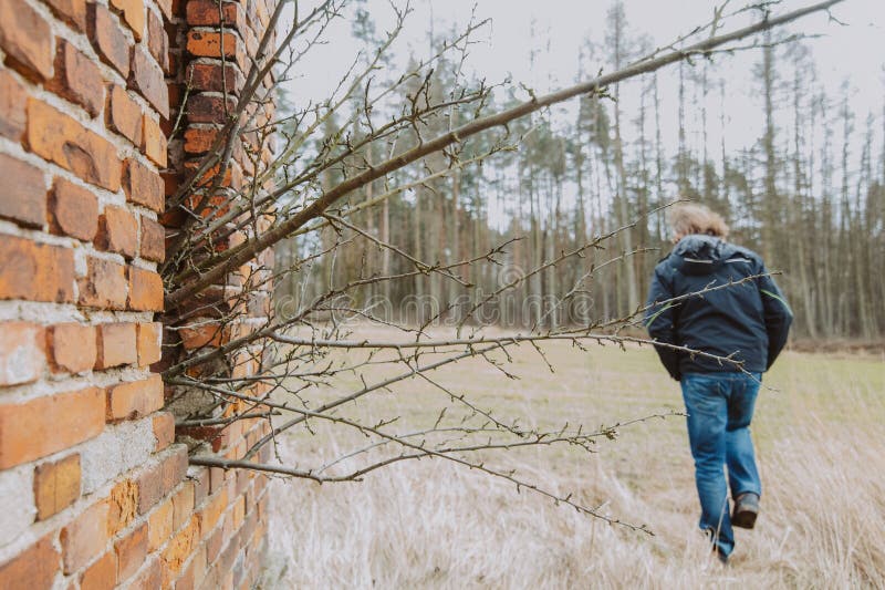Tree Branches Growing through Window of Abandoned Red Brick House ...