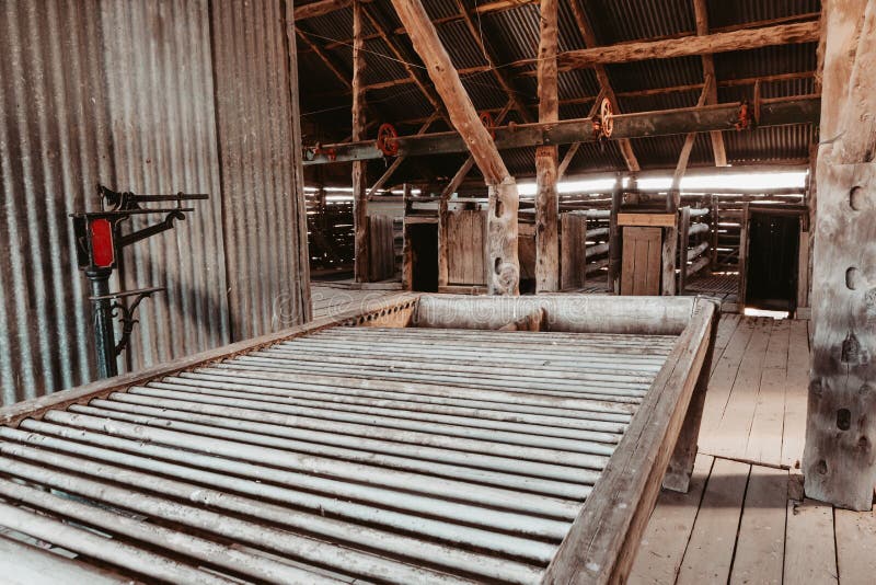 Inside an Old Shearing Shed in Outback Australia Stock Photo - Image of ...