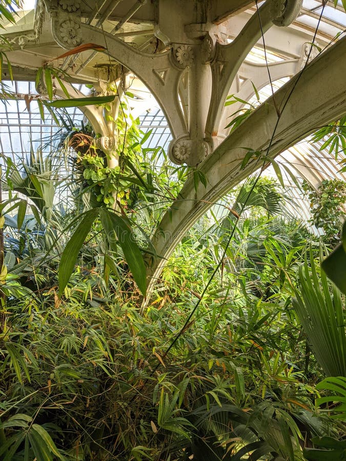 Inside the Palm House, Kew Gardens London Stock Image - Image of inside ...