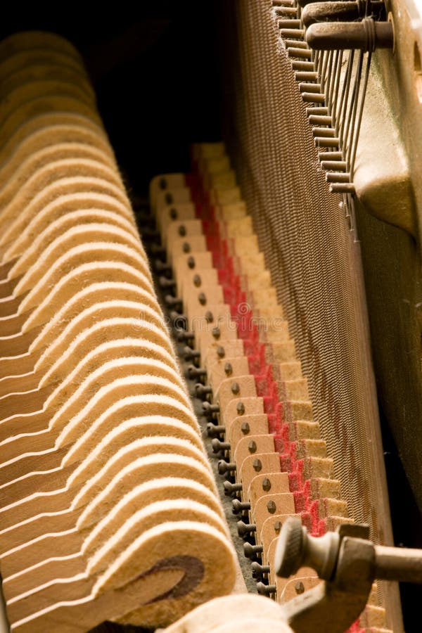 Guitarist in action stock photo. Image of raise, bassist - 297816