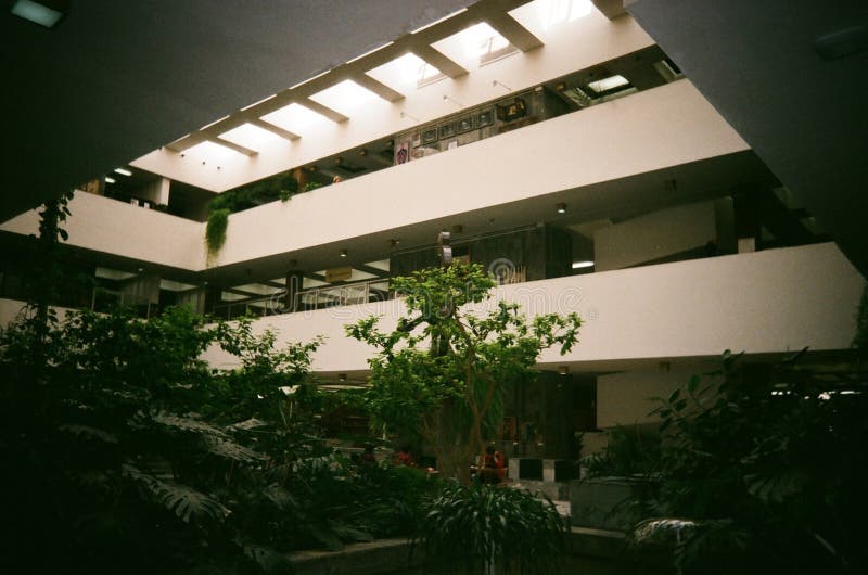 Inside the Public Library`s Winter Garden Stock Photo - Image of clock ...