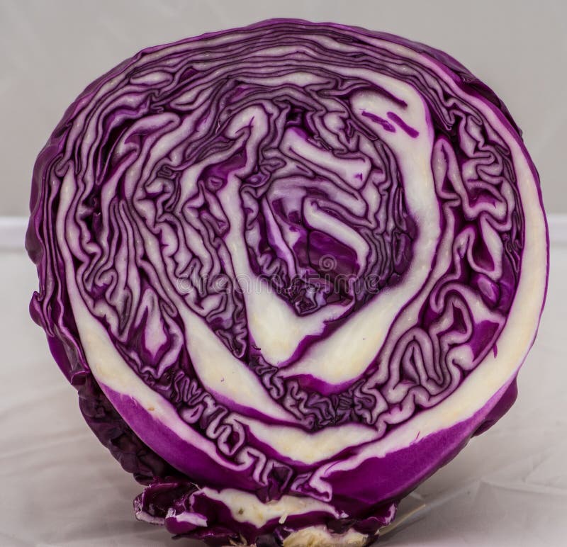 Designs Inside a Purple Cabbage Stock Photo - Image of macro, vegetable ...