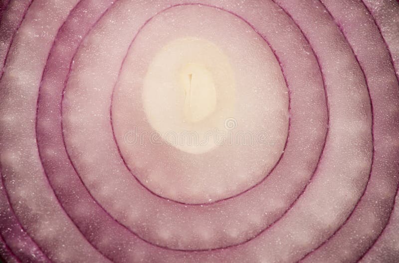 Red onion abstract stock photo. Image of healthy, macro - 35484738