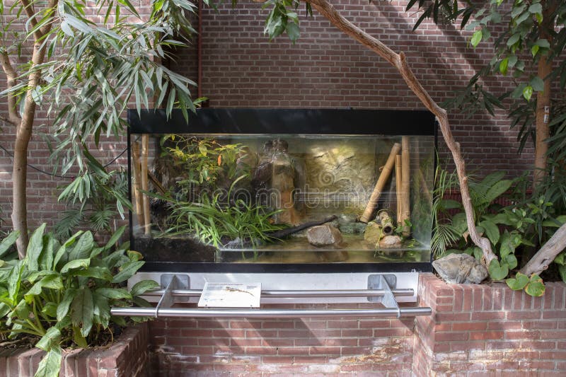 Inside Reptile House at the Artis Zoo at Amsterdam the Netherlands 24-3 ...