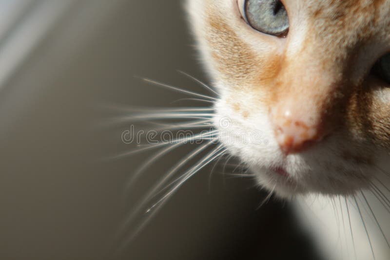 Inside Out Reversed Dirty Cloths from a Child Tossed on the Floor Stock ...