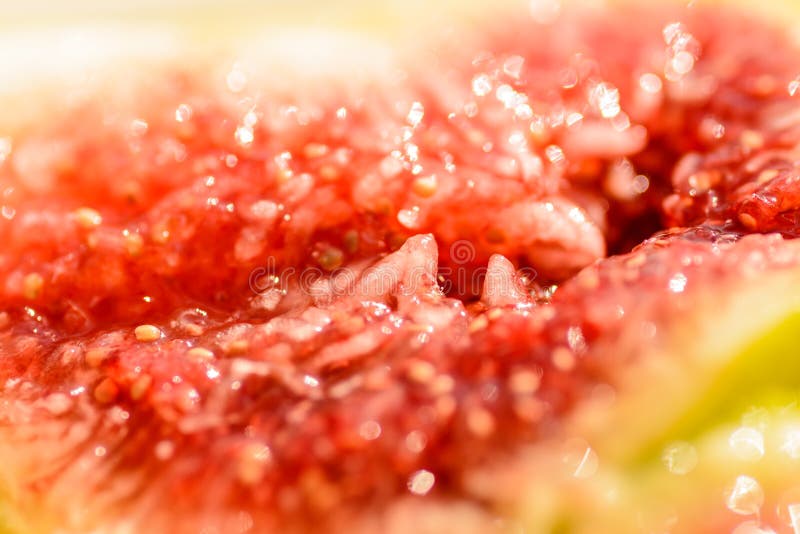 The Inside of a Ripe Fig Fruit Stock Image - Image of natural, farming ...