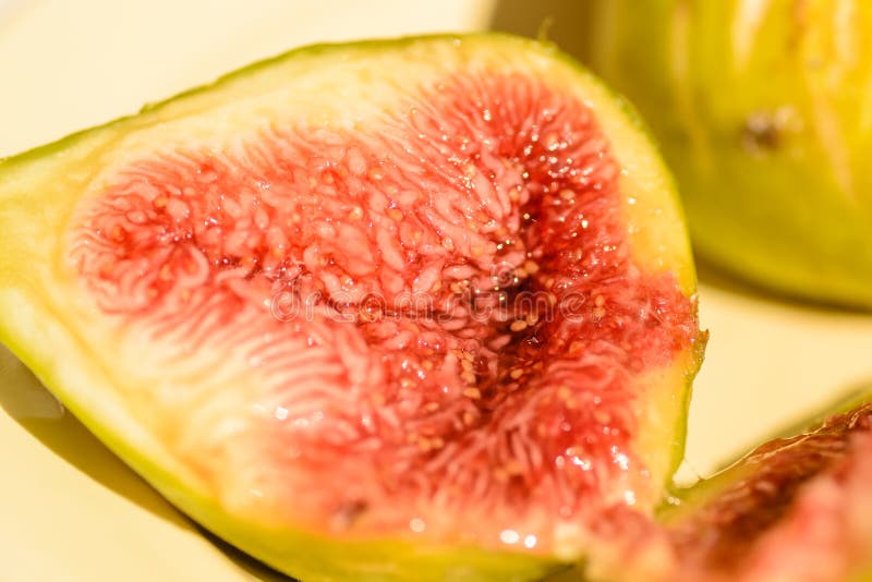 Black Mission Fig Tree Stock Photos - Free & Royalty-Free Stock Photos ...