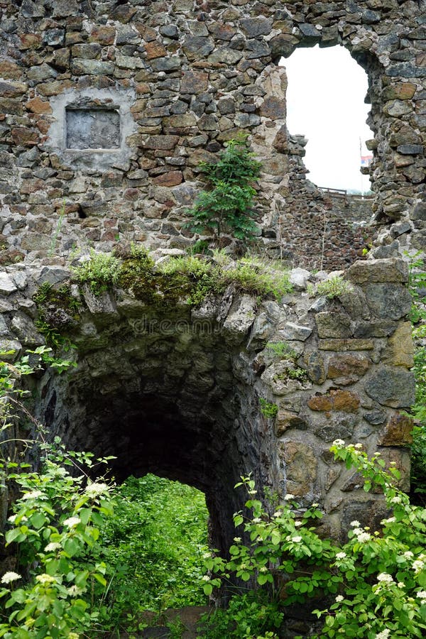 Inside ruins stock image. Image of history, tree, blue - 72767487