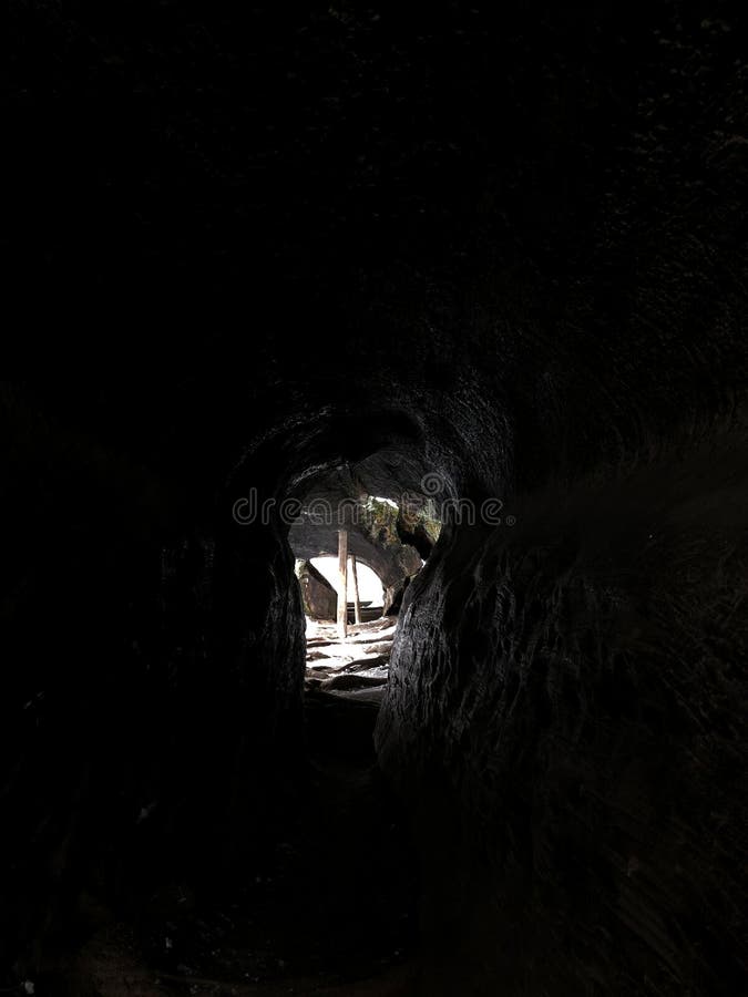 The Inside of a Sequoia Tree Stock Image - Image of hollow, sequoia ...