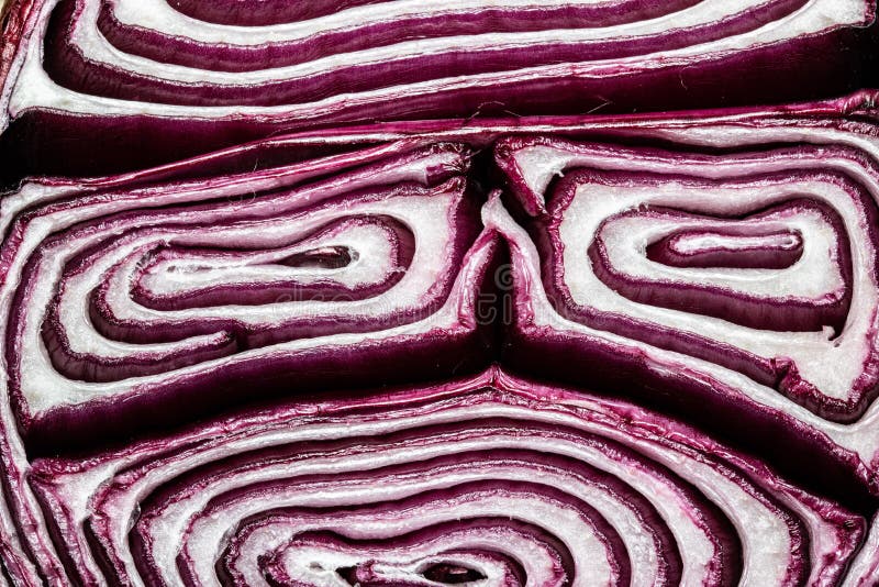 Inside of Sliced Red Cabbage Stock Photo - Image of ingredient, inside ...