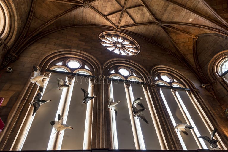 Inside smithsonian castle editorial photo. Image of tall - 61558016