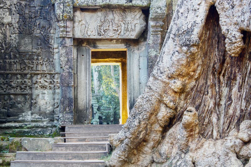Inside Ta Prohm Temple. Siem Reap, Cambodia Stock Image - Image of wall, angkor: 254709269