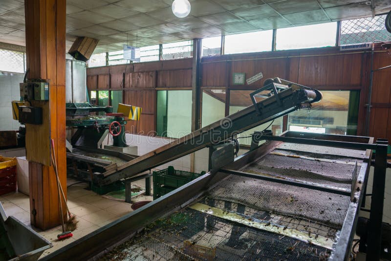 Inside the Tea Factory. editorial photo. Image of august - 61168826