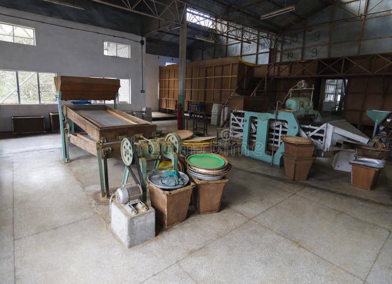 Inside Tea Factory, Temi Tea Estate, Sikkim, India Stock Image - Image ...