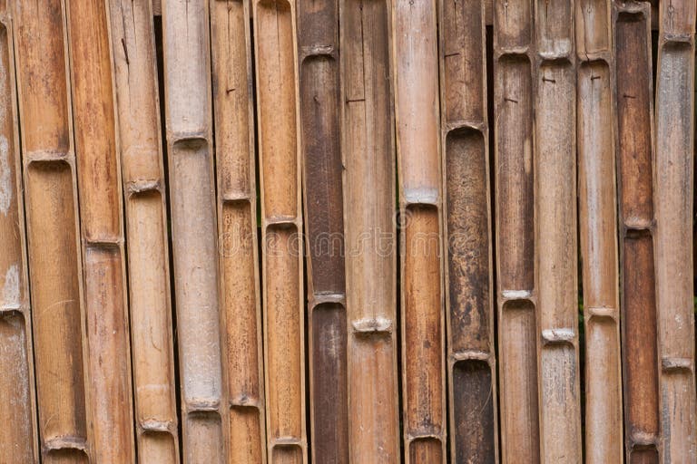 510 Inside Bamboo Texture Background Stock Photos - Free & Royalty-Free ...