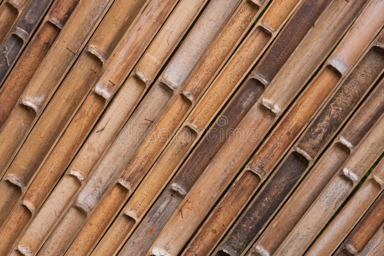 510 Inside Bamboo Texture Background Stock Photos - Free & Royalty-Free ...